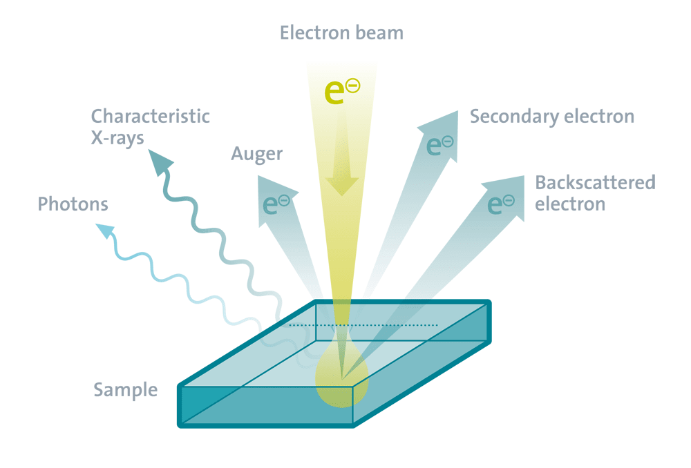 RISE – Raman-SEM 联用显微镜 - WITec Raman Imaging - 牛津仪器